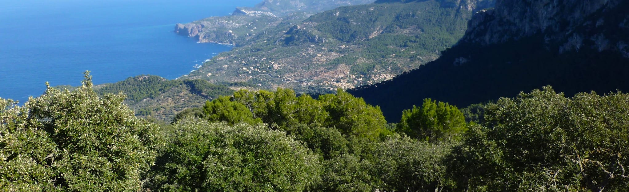 Es Bufador - Pas del Ermitans - Refugi s'Arxiduc - Coll Son Gallard ...