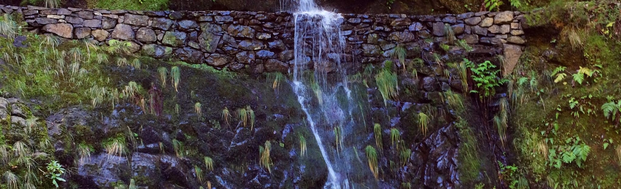 PR10 - Levada do Furado: 174 Reviews, Map - Madeira, Portugal | AllTrails