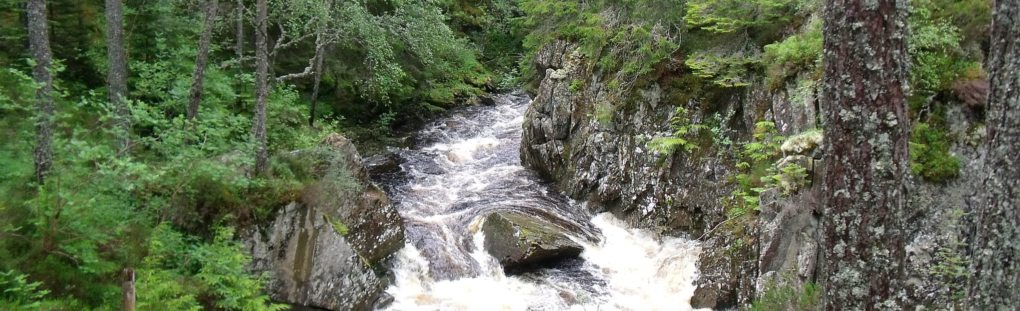 Druim an Aird Waterfalls: 18 Fotos - Highlands, Schottland | AllTrails