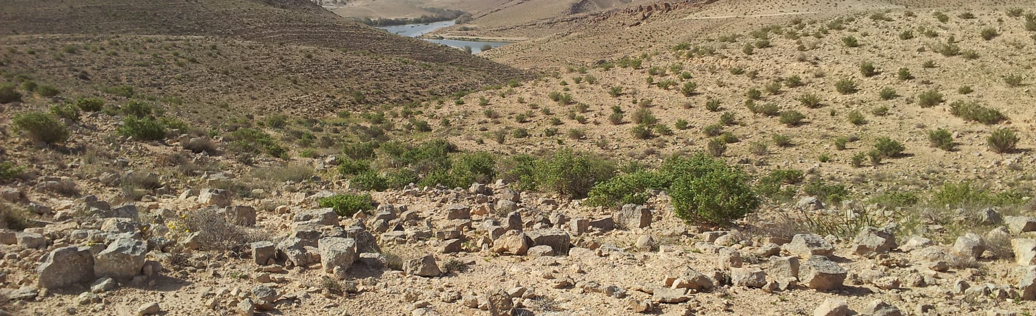 Yeruham Forest and Desert Full Loop, Southern District HaDarom, Israel ...