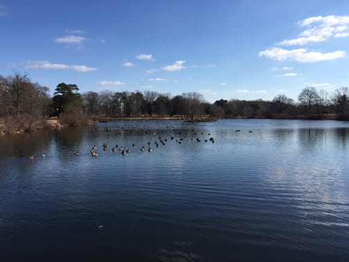 Best Hikes and Trails in Burba Lake Recreation Area | AllTrails