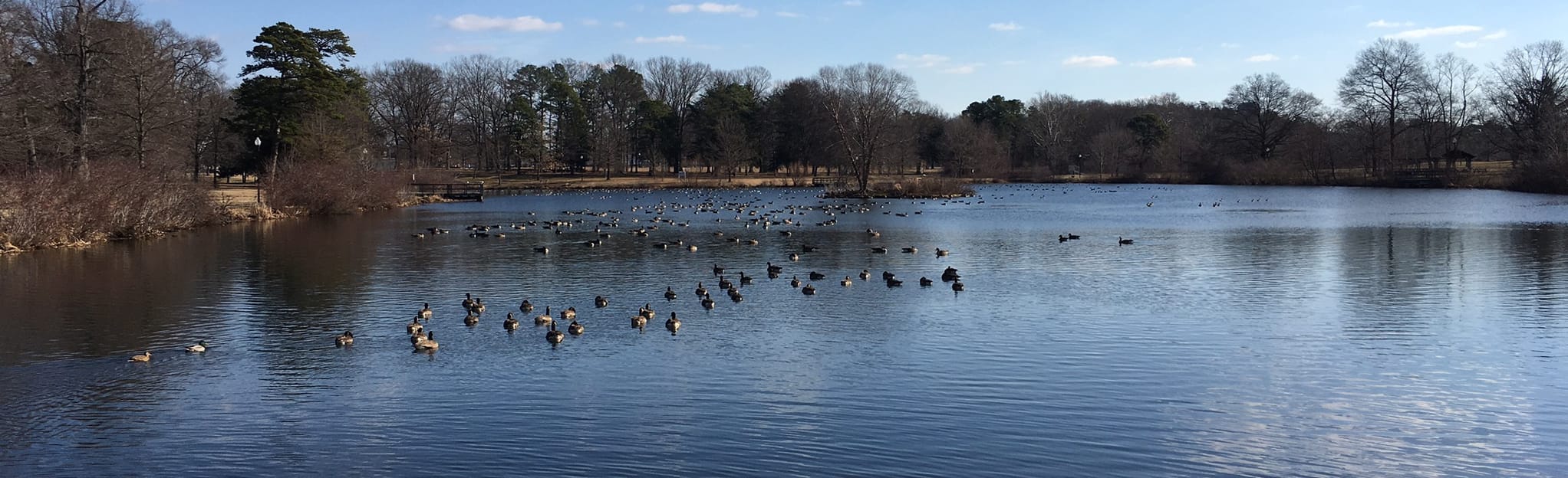 AllTrails | Burba Lake [PRIVATE PROPERTY]: 112 Reviews, Map - Maryland