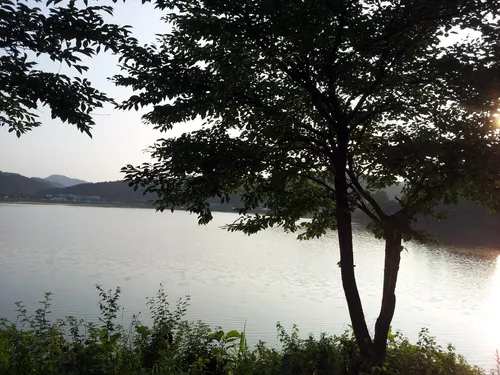 Best Hikes and Trails in Gobok Natural Park | AllTrails