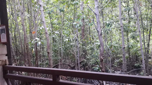 Best Hikes and Trails in Taman Negara Tanjung Piai | AllTrails