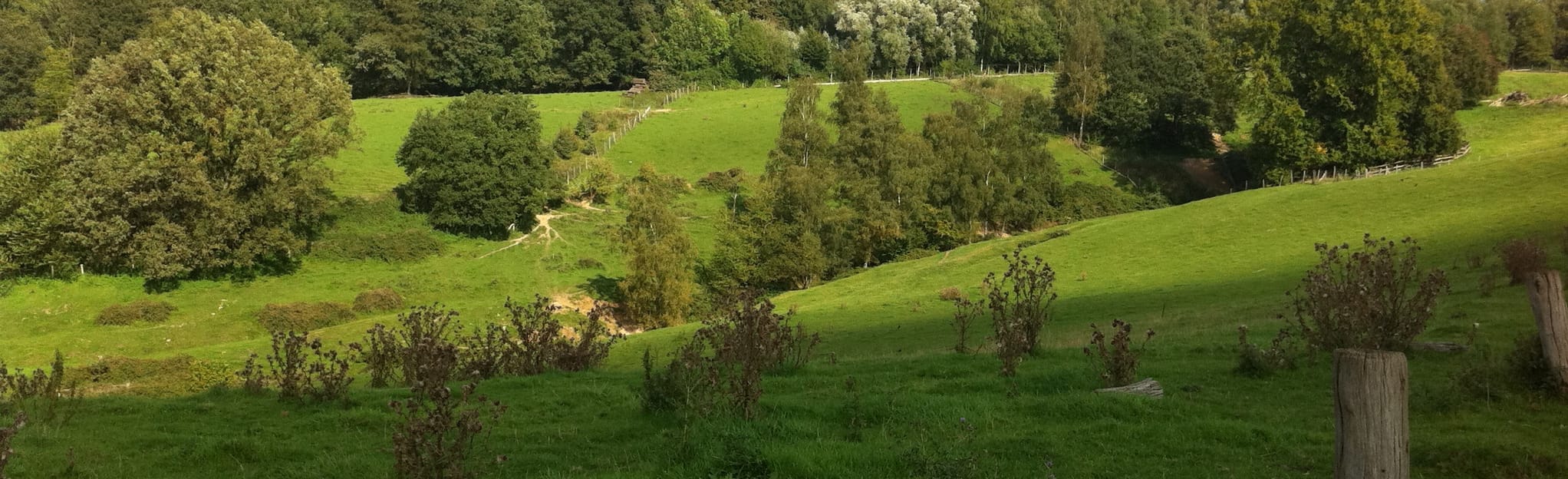 Neandertal - Big Loop: 79 Reviews, Map - North Rhine-Westphalia ...