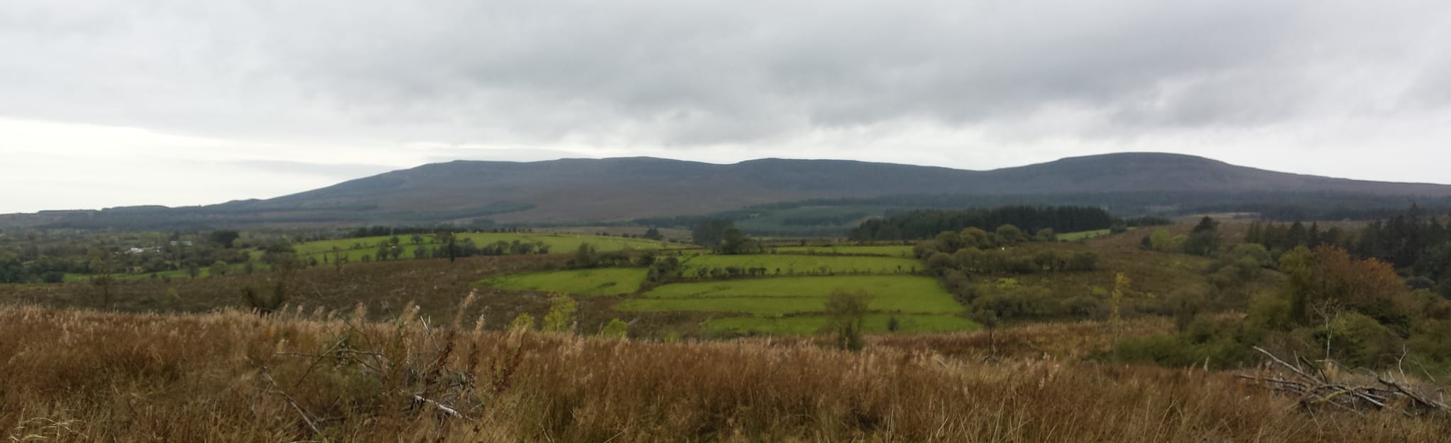 Carrick-on-Shannon and Derrylin Loop, County Roscommon, Ireland - 4 ...