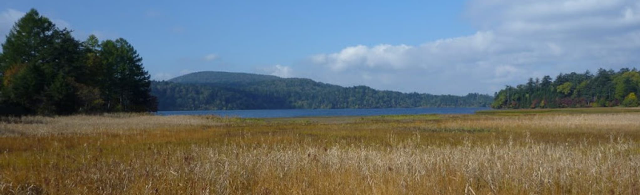 Lake Ozenuma - Ozegahara - Yamanohana Loop: 285 fotos - Prefectura de ...