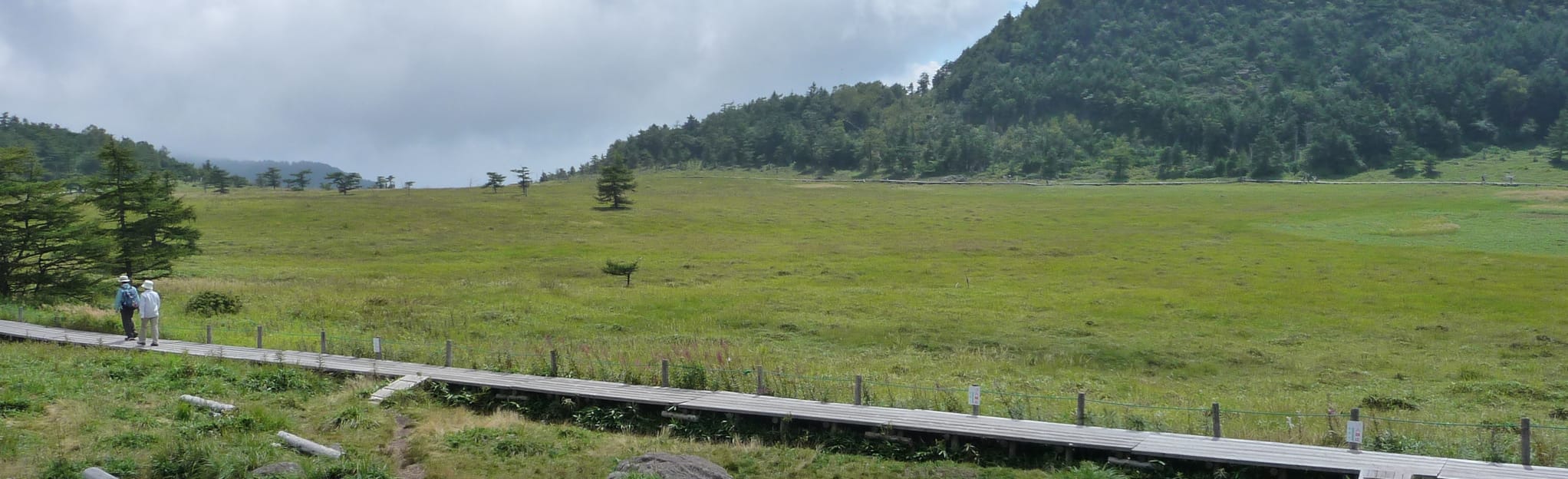 Ikenotaira Marsh Loop: 1 Reviews, Map - Nagano, Japan | AllTrails