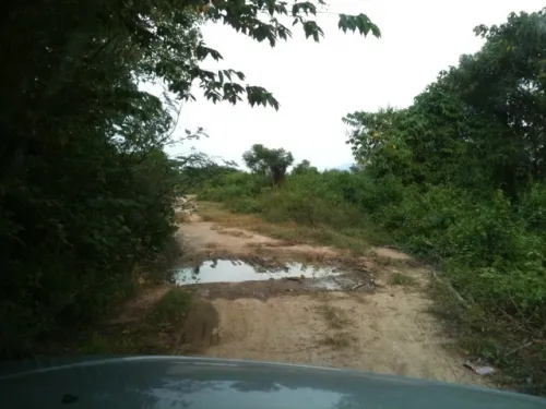 Best River Trails in Dengkil | AllTrails