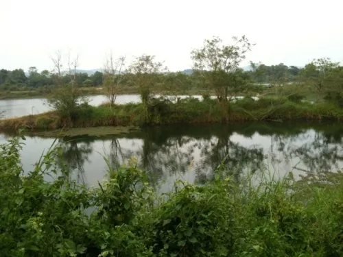 Best River Trails in Dengkil | AllTrails