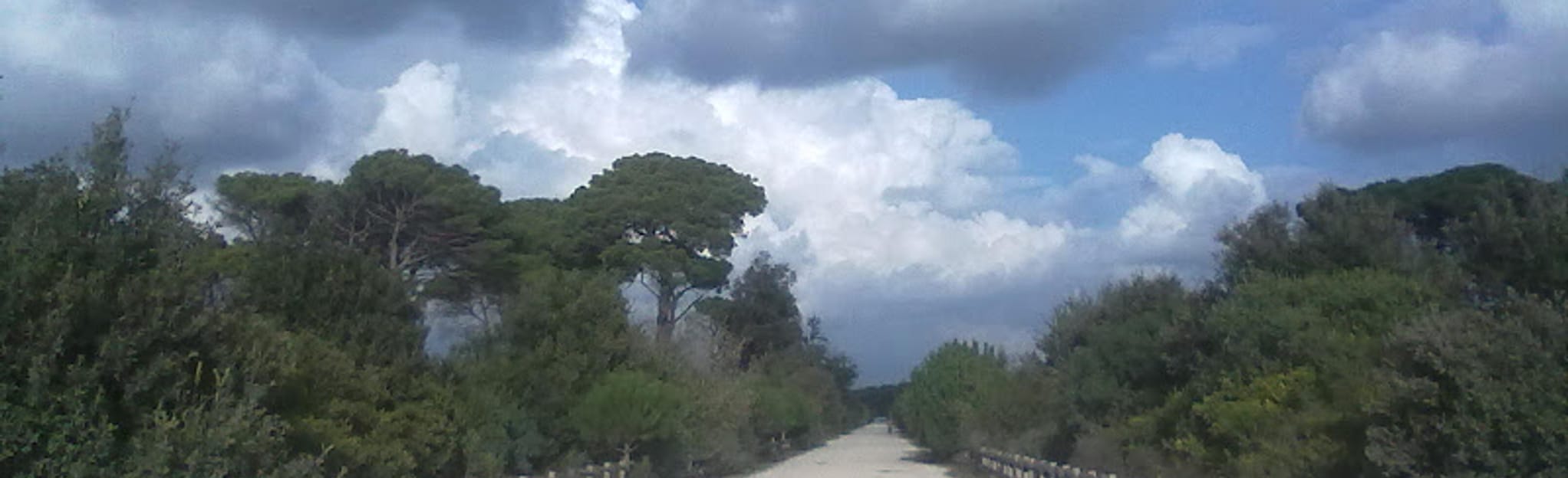 AllTrails | Giro Pineta di Castel Fusano: 0 Reviews, Map - Lazio, Italy