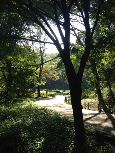 Best Hikes and Trails in Higashi-Takane Forest Park | AllTrails
