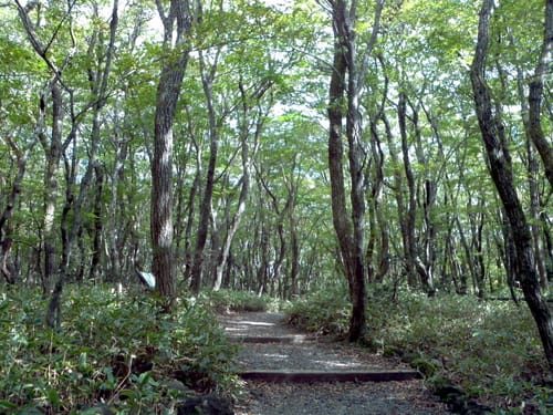 2023 Best 10 Long Trails in Jeju-si | AllTrails