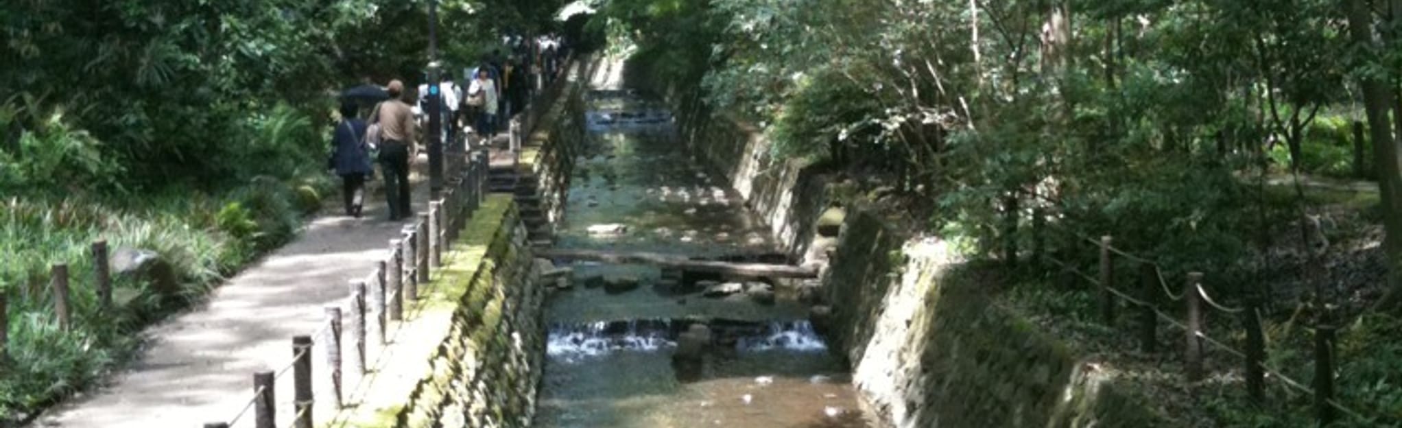 Todoroki Valley Trail, Tokyo, Japan - 15 Reviews, Map | AllTrails