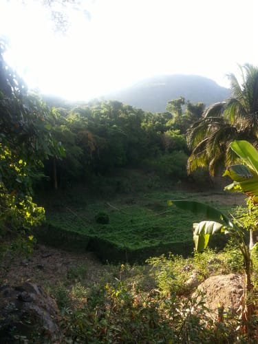 2023 Best Backpacking Trails in Mount Palay - Palay National Park ...