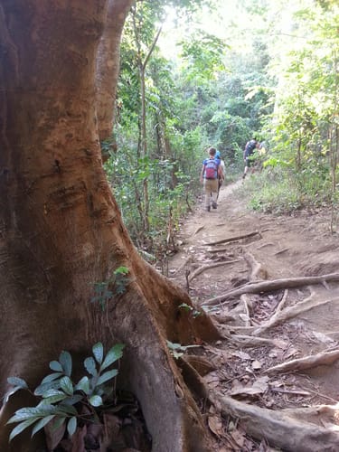 2023 Best Backpacking Trails in Mount Palay - Palay National Park ...