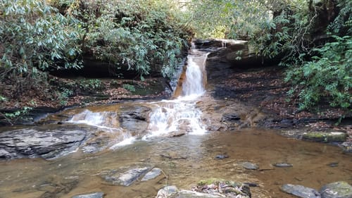 Best Hikes and Trails in Connestee Falls Hiking Trails | AllTrails