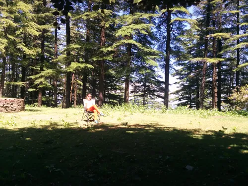 Best Hikes and Trails in Shimla Water Catchment Wildlife Sanctuary ...