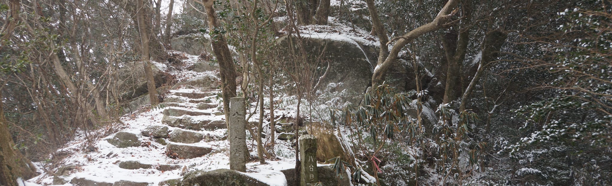 Mount Homan: 13 Reviews, Map - Fukuoka, Japan | AllTrails