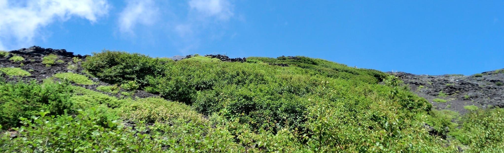 Subashiri Downhill, Yamanashi, Japan - 16 Reviews, Map | AllTrails