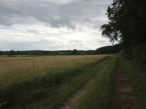 Best Hikes and Trails in Saxlingham Playing Field | AllTrails