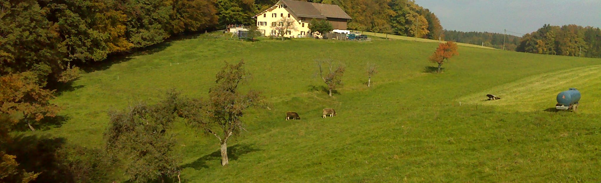 Tour du Mont Pélerin: Chexbres - Palézieux - Vaud, Switzerland | AllTrails