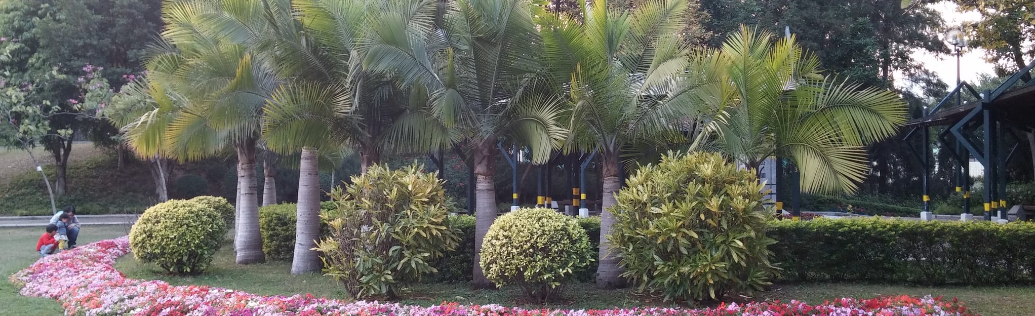 Nam Cheong Park Loop, Sham Shui Po, Hong Kong - 68 Reviews, Map | AllTrails