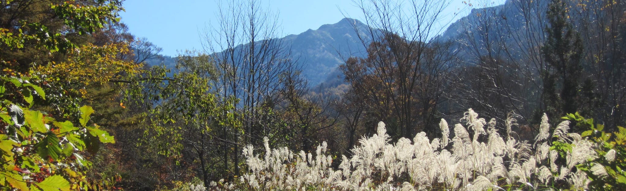 Mount Hotaka - Hotaka Shrine Loop: 0 Reviews, Map - Gunma, Japan ...
