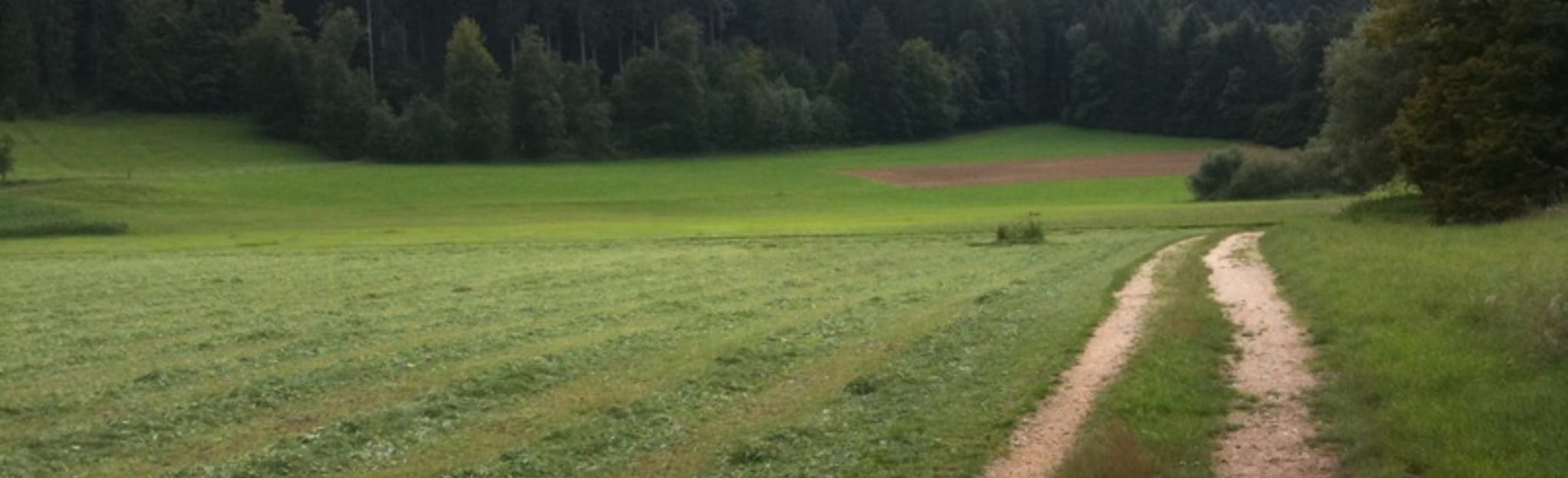 Steinegg Castle Ruins - Prehistoric Stone Wall: 4 Reviews, Map ...