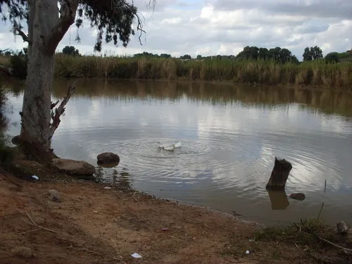 Best Hikes and Trails in Poleg Nature Reserve | AllTrails