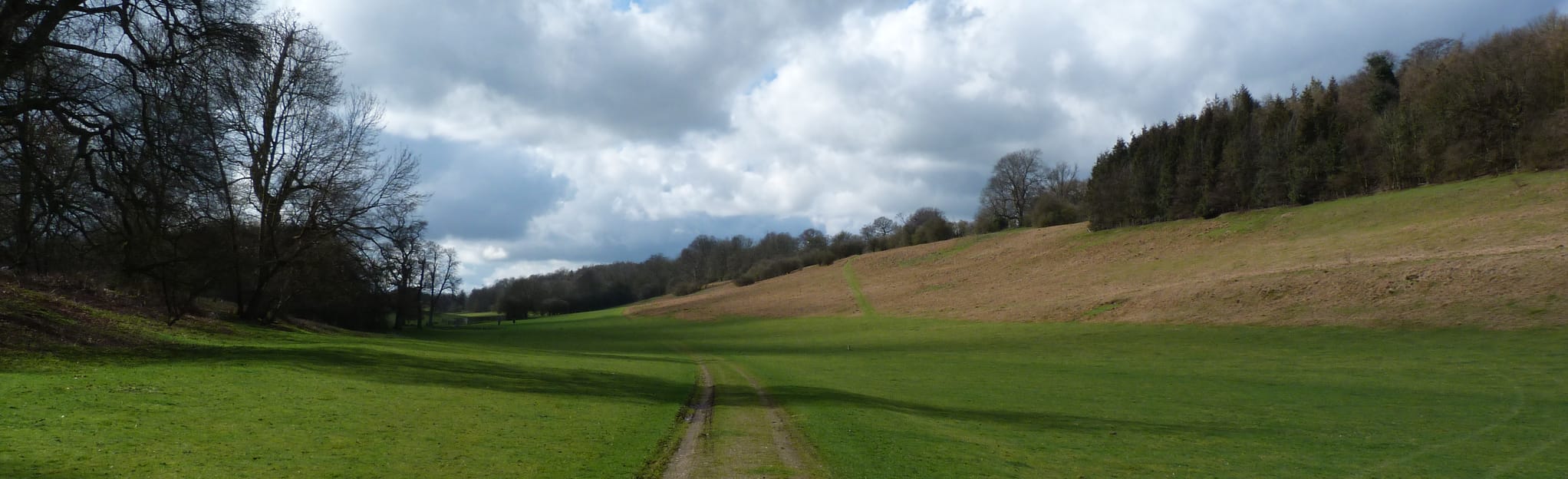 Perry Woods Circular: 35 Reviews, Map - Kent, England | AllTrails