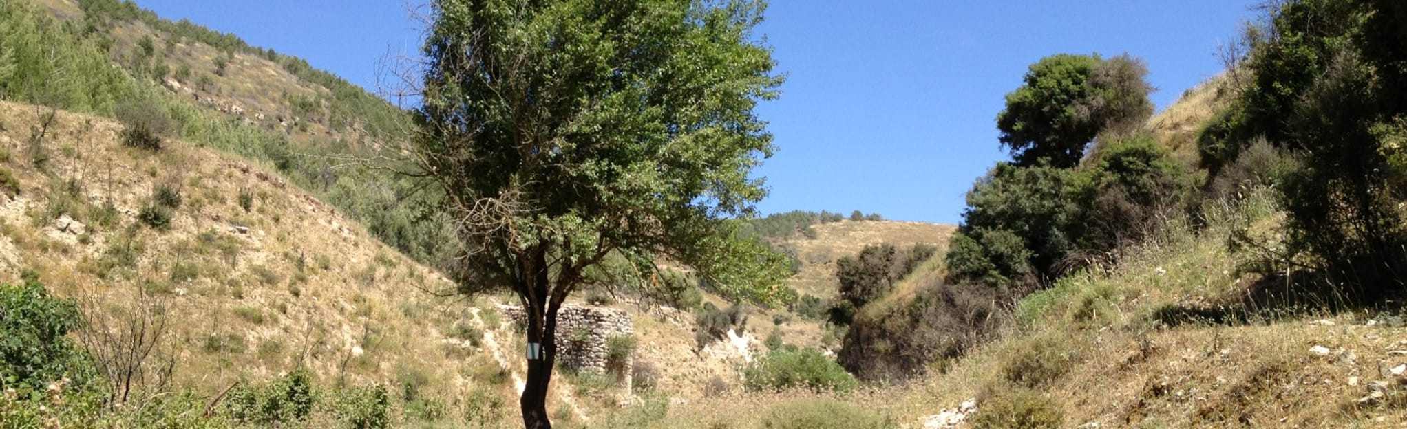 Yiron to Gish via Baram Forest, Northern District HaZafon, Israel - Map ...