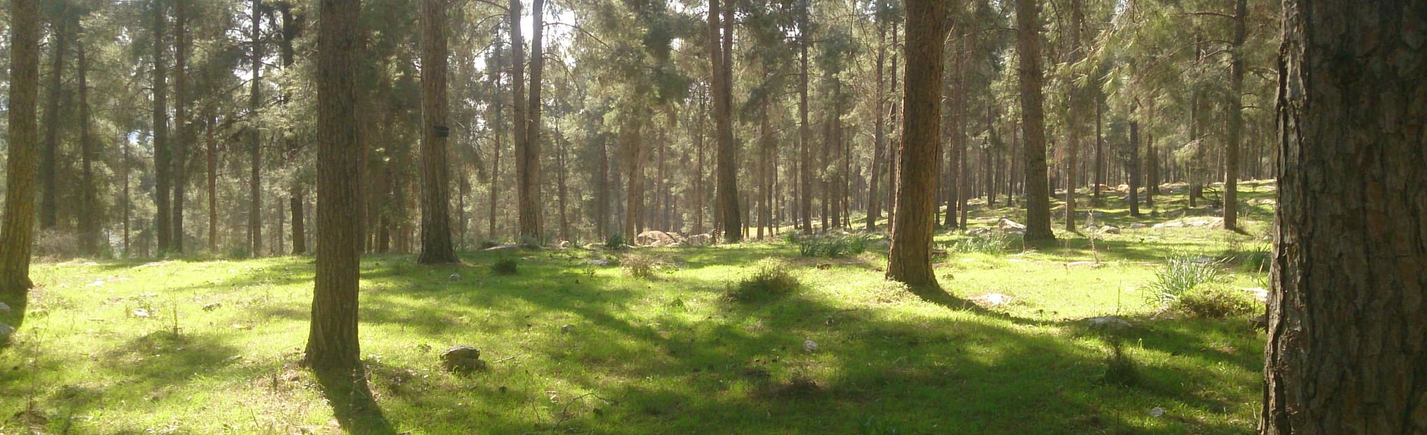 Israel National Trail: Mashhad to HaNezirim Mill, Northern District ...