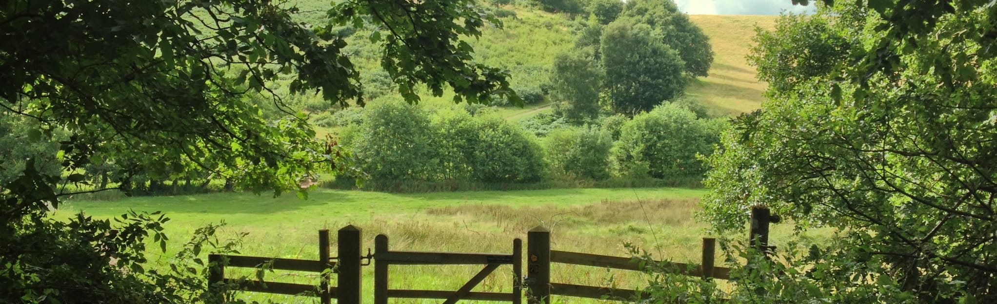 Downs Banks Edges, Staffordshire, England - 119 Reviews, Map | AllTrails