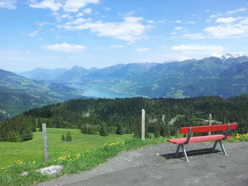 2023 Best Forest Trails in Kerns | AllTrails