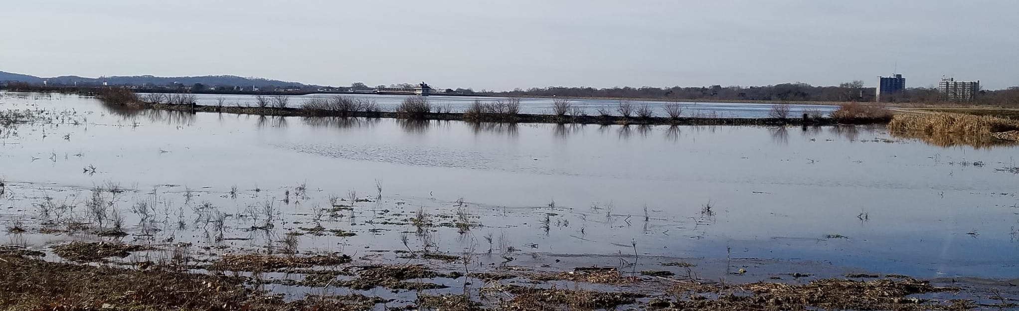 Redd Park North Loop, Delaware - 81 Reviews, Map | AllTrails