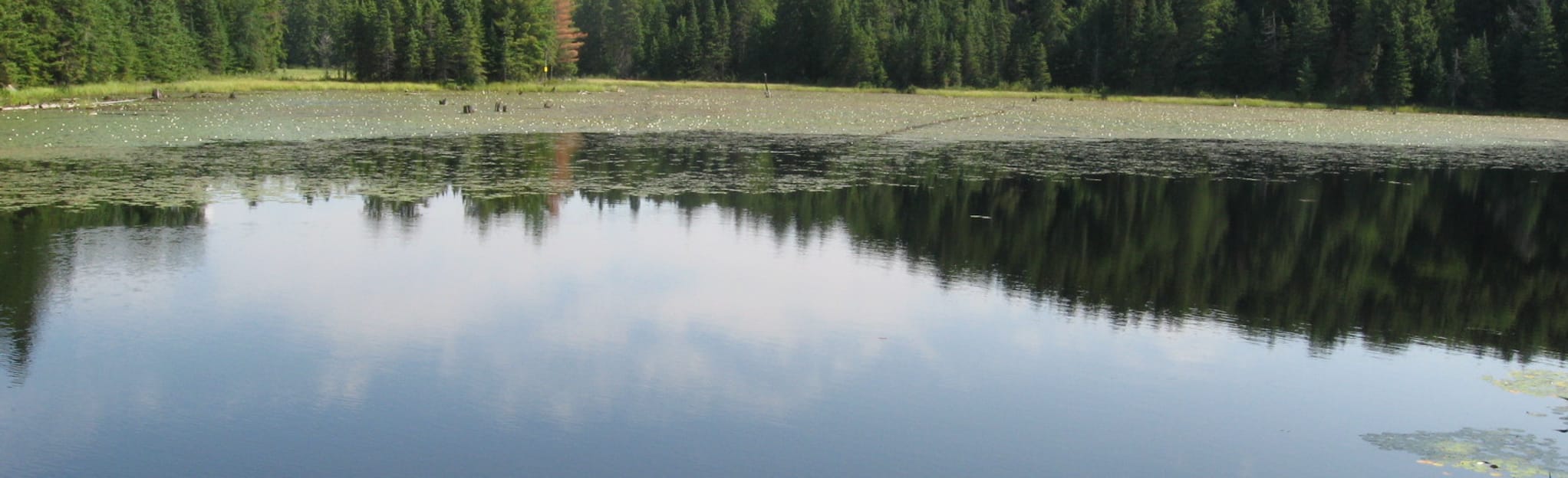 Cache Lake Paddle, Ontario, Canada - 8 Reviews, Map | AllTrails