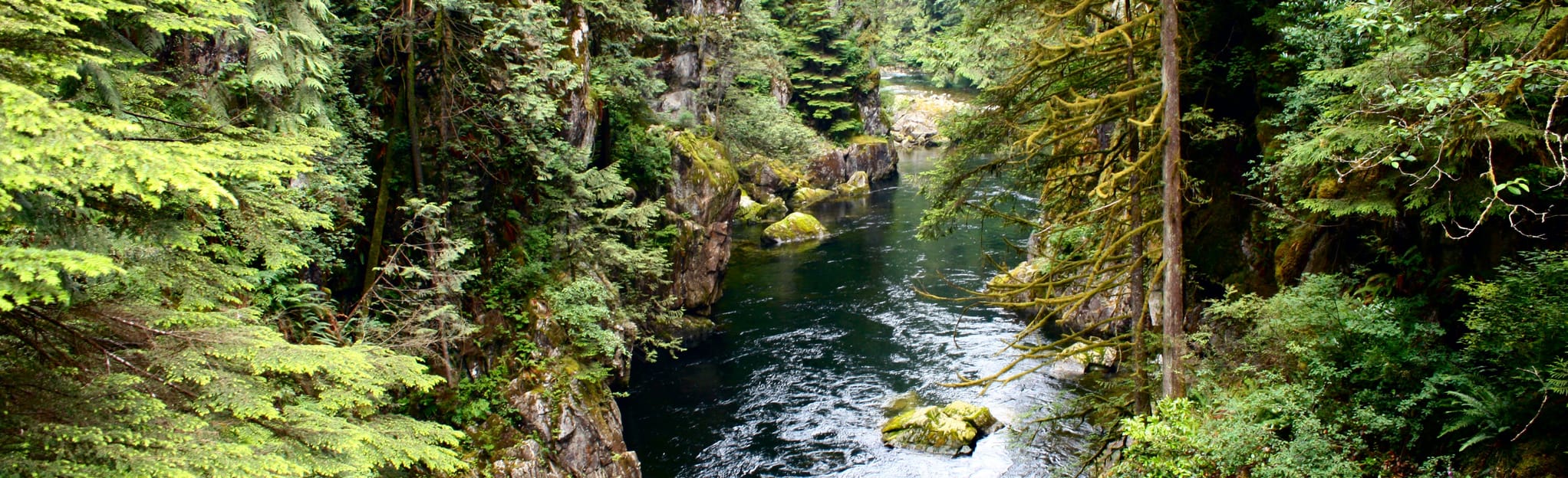 Pipeline and Chinook Trail Loop, British Columbia, Canada - 296 Reviews ...