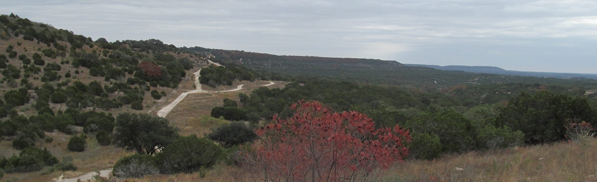 Hidden Falls OHV Perimeter Loop, Texas - 55 Reviews, Map | AllTrails