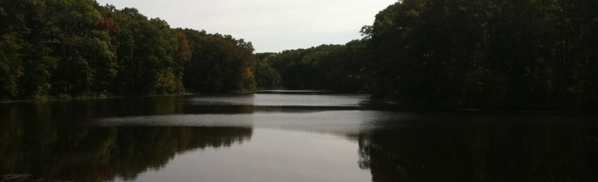 White Oak Campground to Shimek State Forest | Map, Guide - Iowa | AllTrails