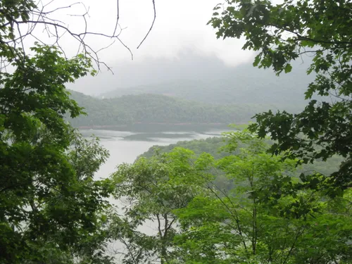 Best Wildlife Trails In Raystown Lake National Recreation Area Alltrails