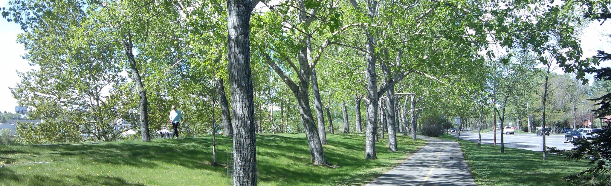 Bow River Pathway North: 438 fotos - Alberta, Canadá | AllTrails