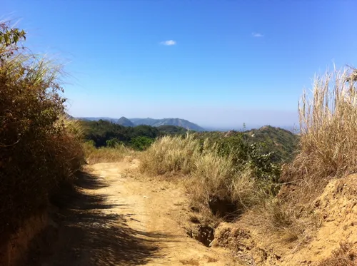 10 Best Trail Running Trails in Metro Manila | AllTrails