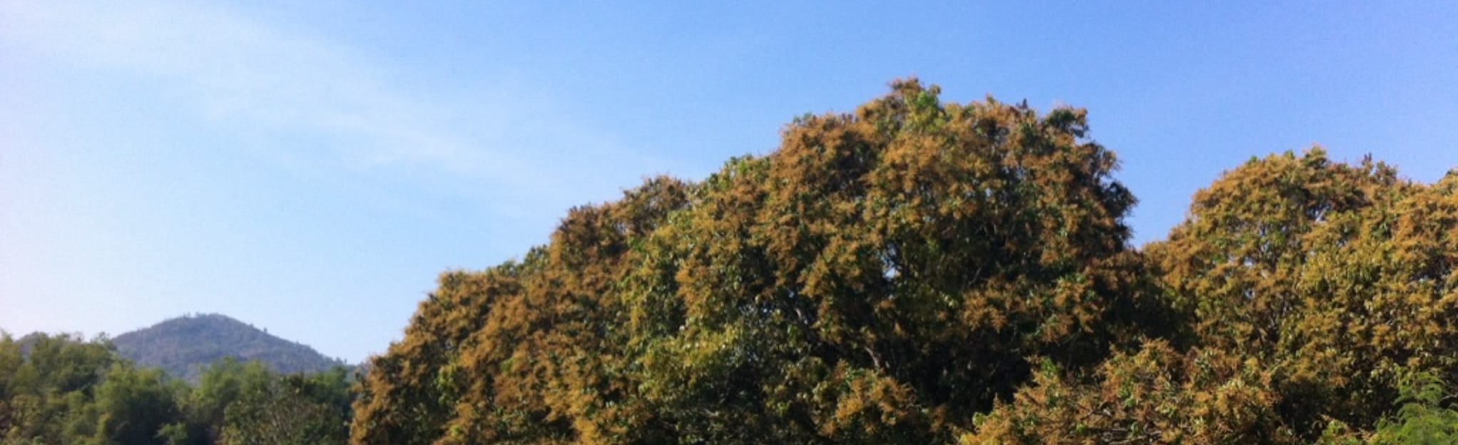 Capas- Monasterio- Bueno Cycle Loop, Tarlac, Philippines - Map, Guide ...