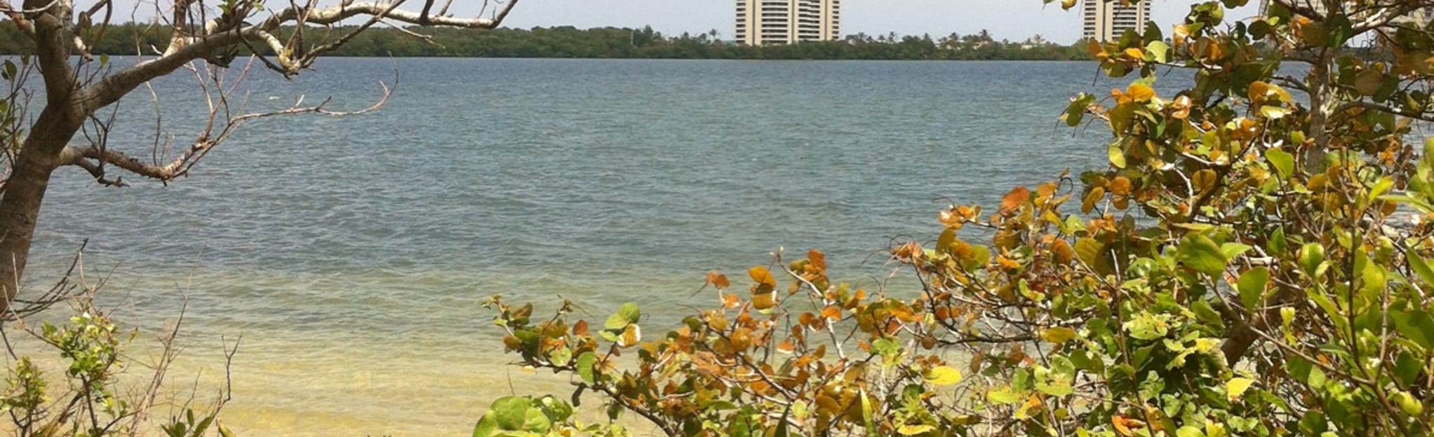 Munyon Island Trail, Florida - 3 Reviews, Map | AllTrails