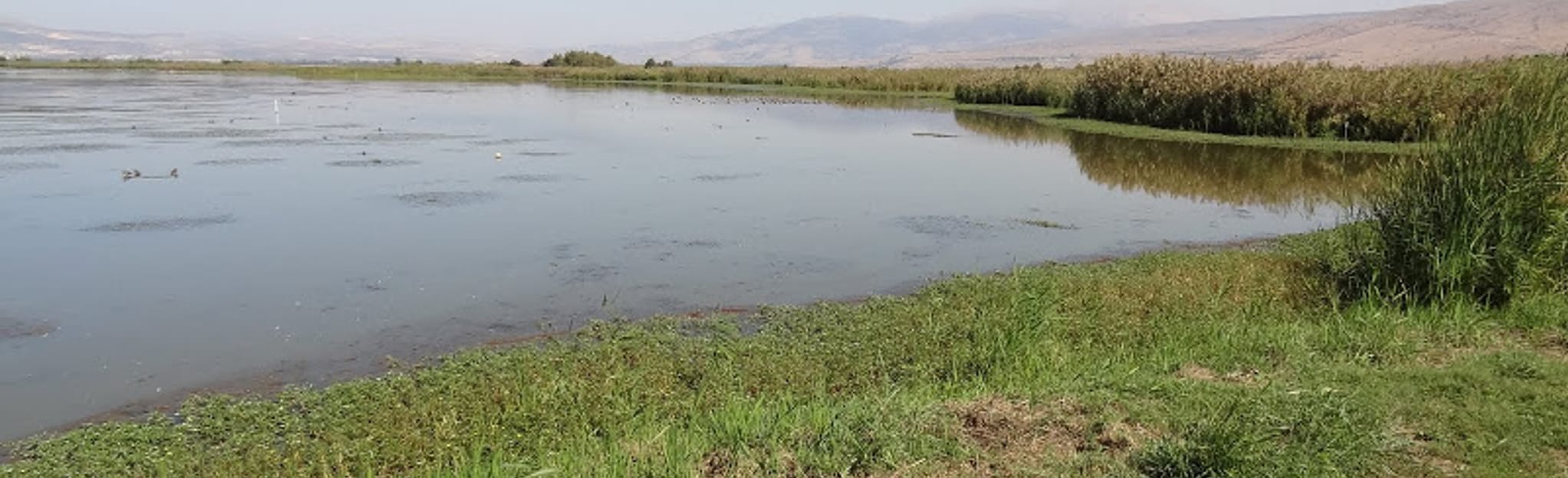 Agmon HaHula Perimeter Loop, Northern District HaZafon, Israel - 7 ...