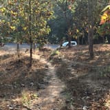 Dediapada Forest - Ninai Waterfall, Gujarat, India - Map, Guide | AllTrails