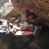 Dediapada Forest - Ninai Waterfall, Gujarat, India - Map, Guide | AllTrails