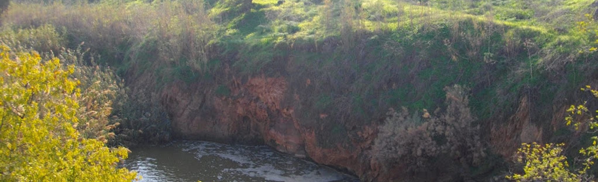 Mesilot Junction to Beit Shean Forest via Harod Stream: 1 Reviews, Map ...