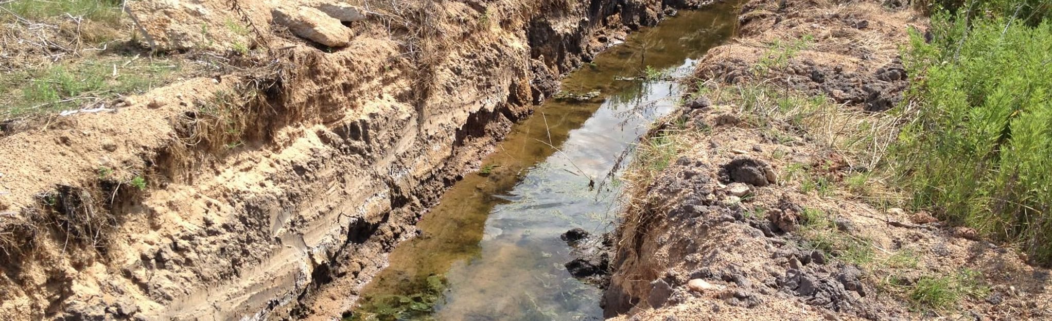 Brazos Valley Off Road Ranch Trail, Texas - 5 Reviews, Map | AllTrails